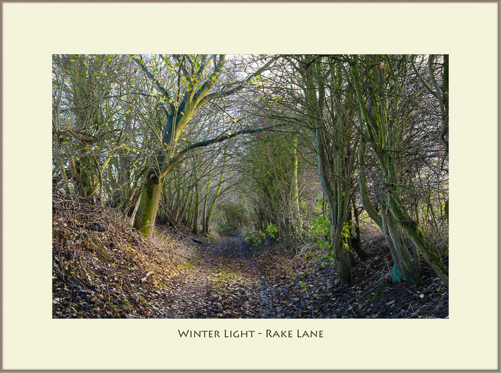 huttons ambo village: Rake Lane