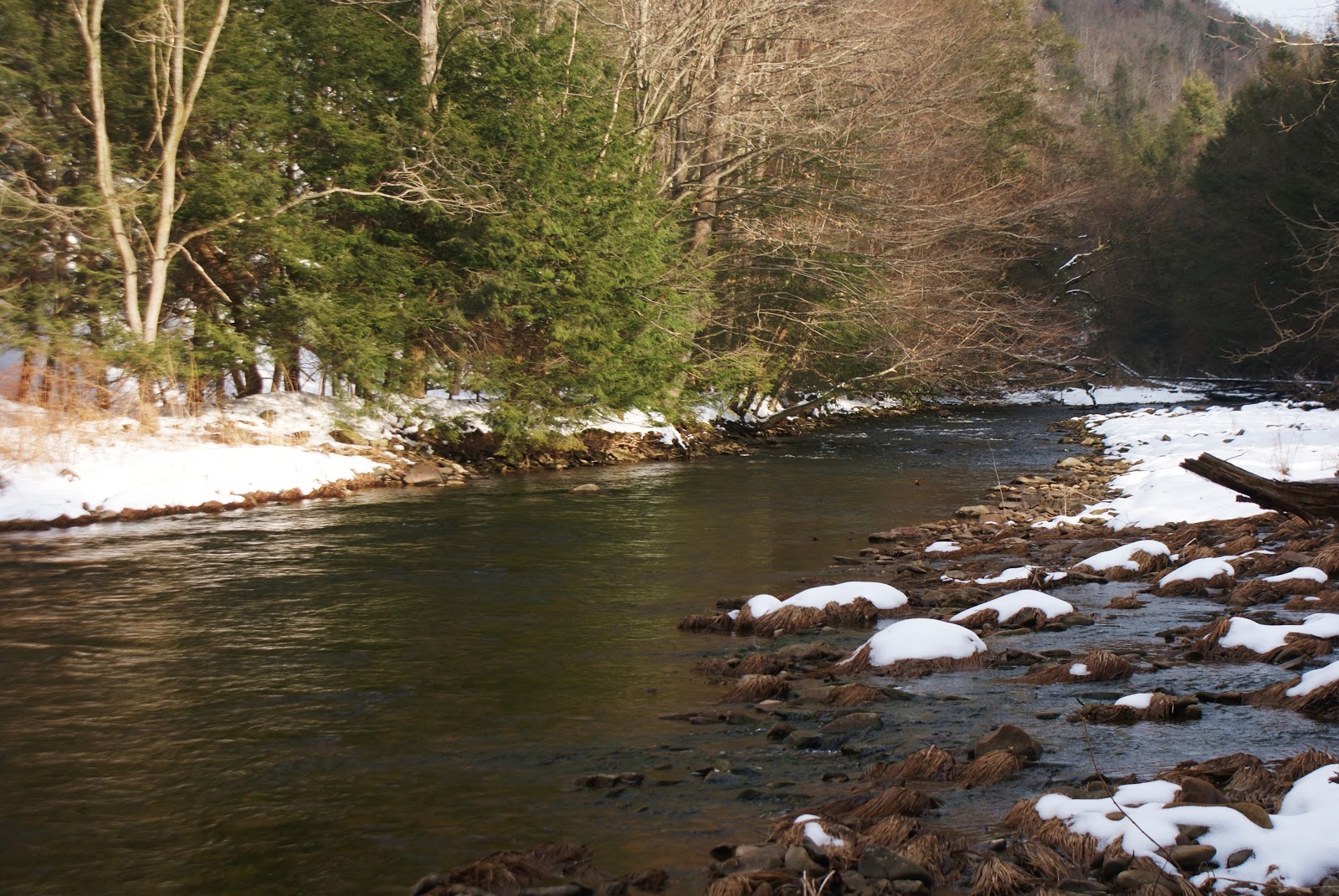 The Search for Native Salmonids: This Crazy March Weather - Part Two