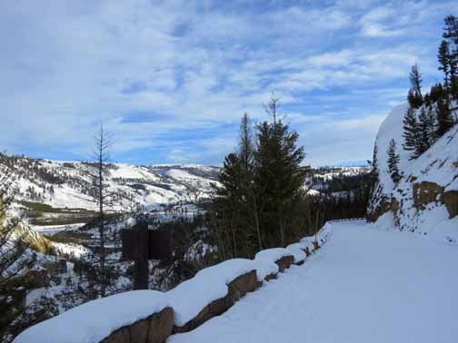 Shirl Ireland's Art Blog: Winter Wonderland