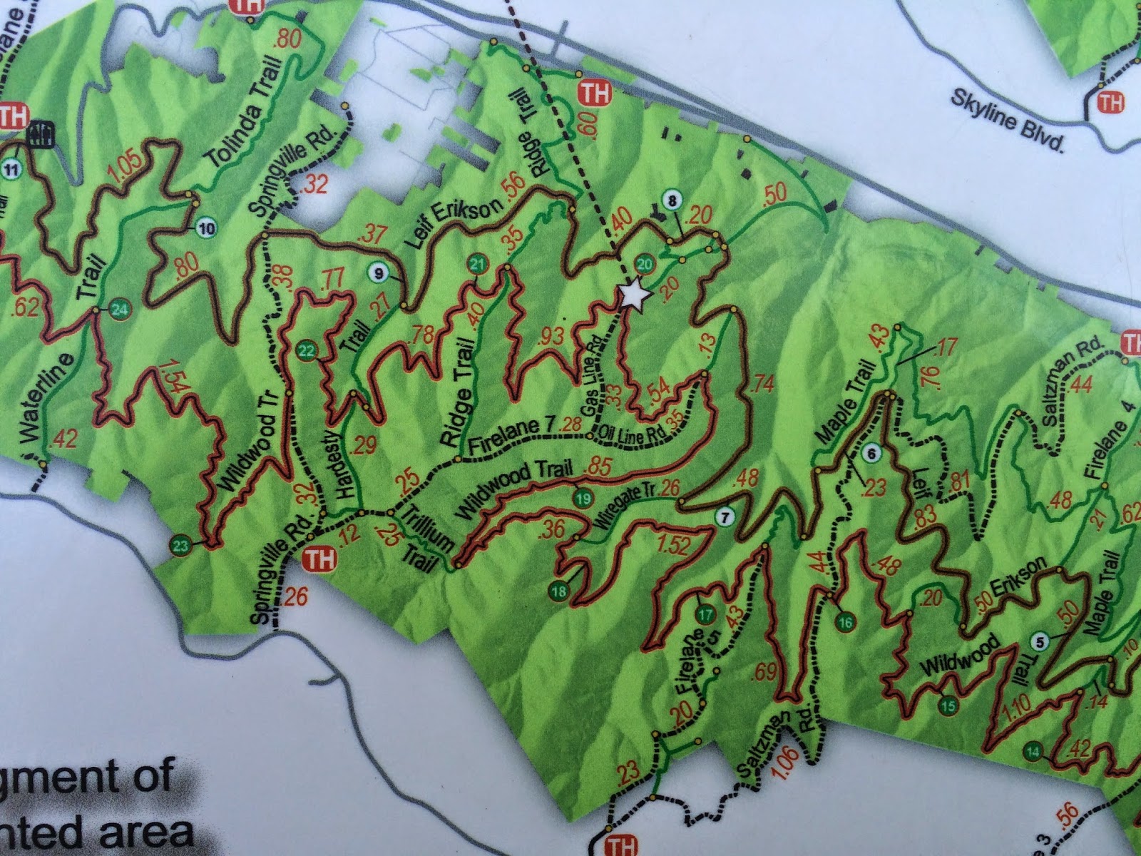 Hiking The Forest: Hike #10: Springville Road to Fire Lane 7