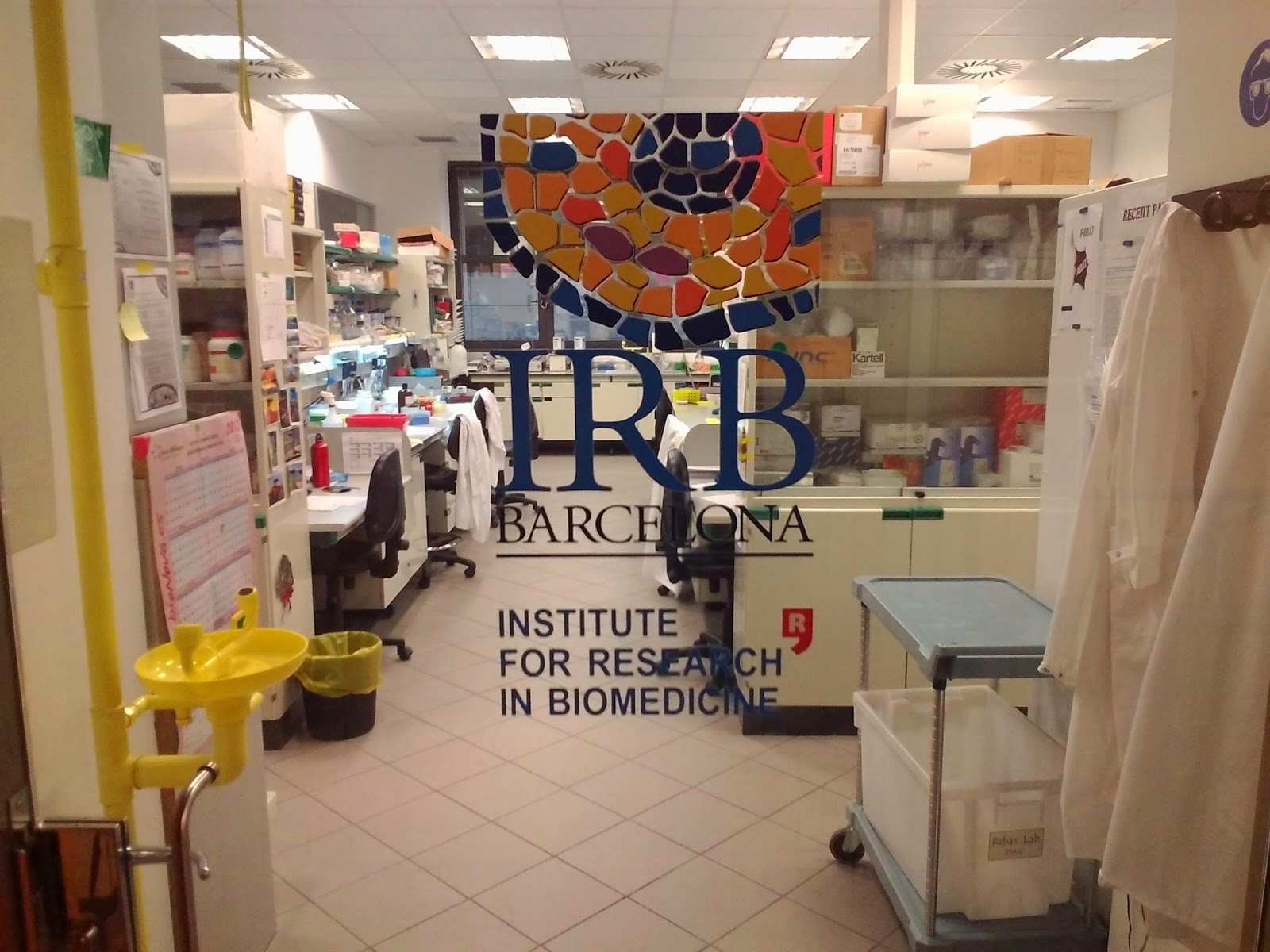 UEP!: IRB BARCELONA.