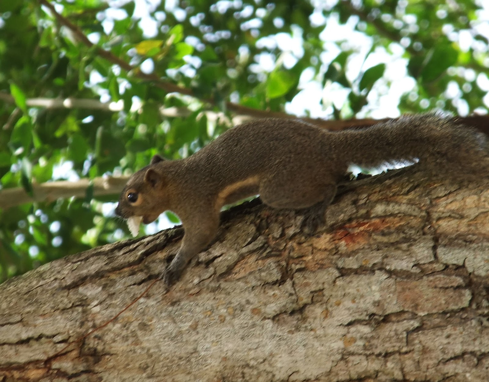 Justina-Overseas: Balio salos atostogos