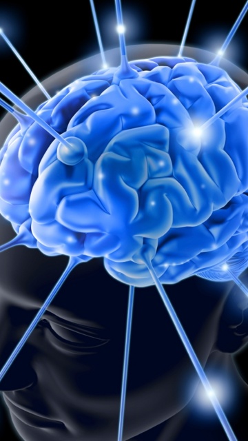 The Economics of Self-Improvement: Intensity Vs. Extensity; Identifying ...