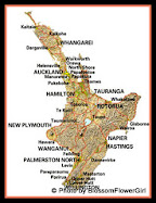 New Zealand - Aotearoa: 16. Bay of Islands - Waitangi