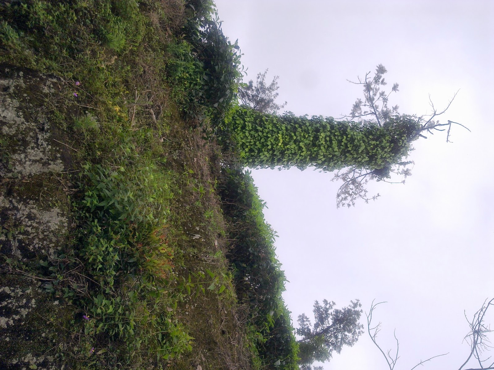 Srinivazen: Manimuthar falls, Kakachi, Manimuthar dam, Kuthiravetti tour