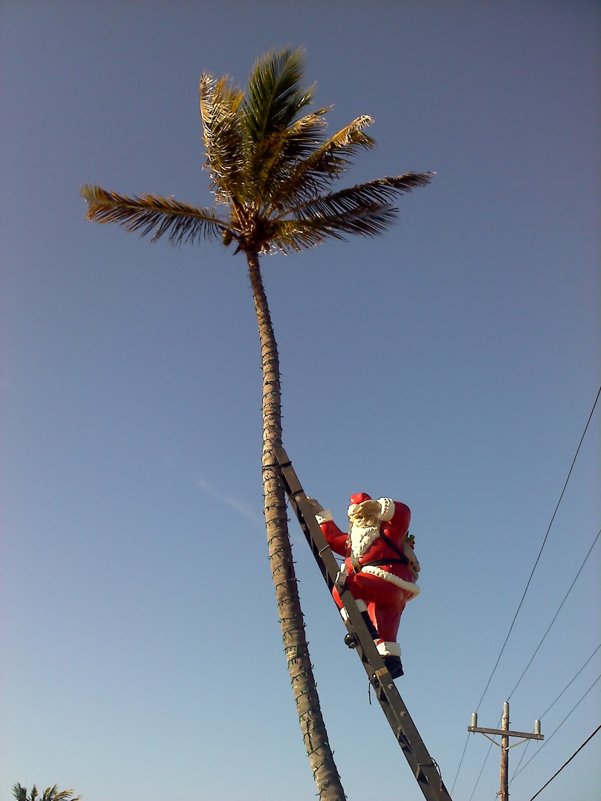 Christmas With Amy: Santa on the Beach