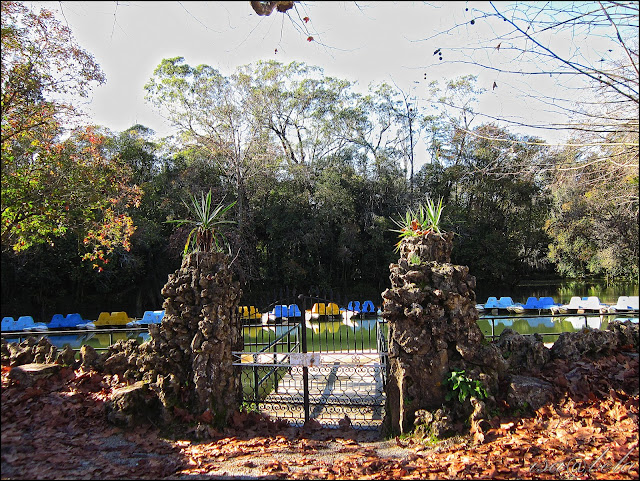 UM PIGO DE LUZ: Parque das Termas da Curia / Anadia