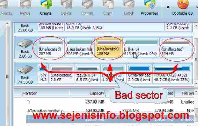 ilmu teknik: Cara memisahkan partisi hardisk yang terkena bad sector
