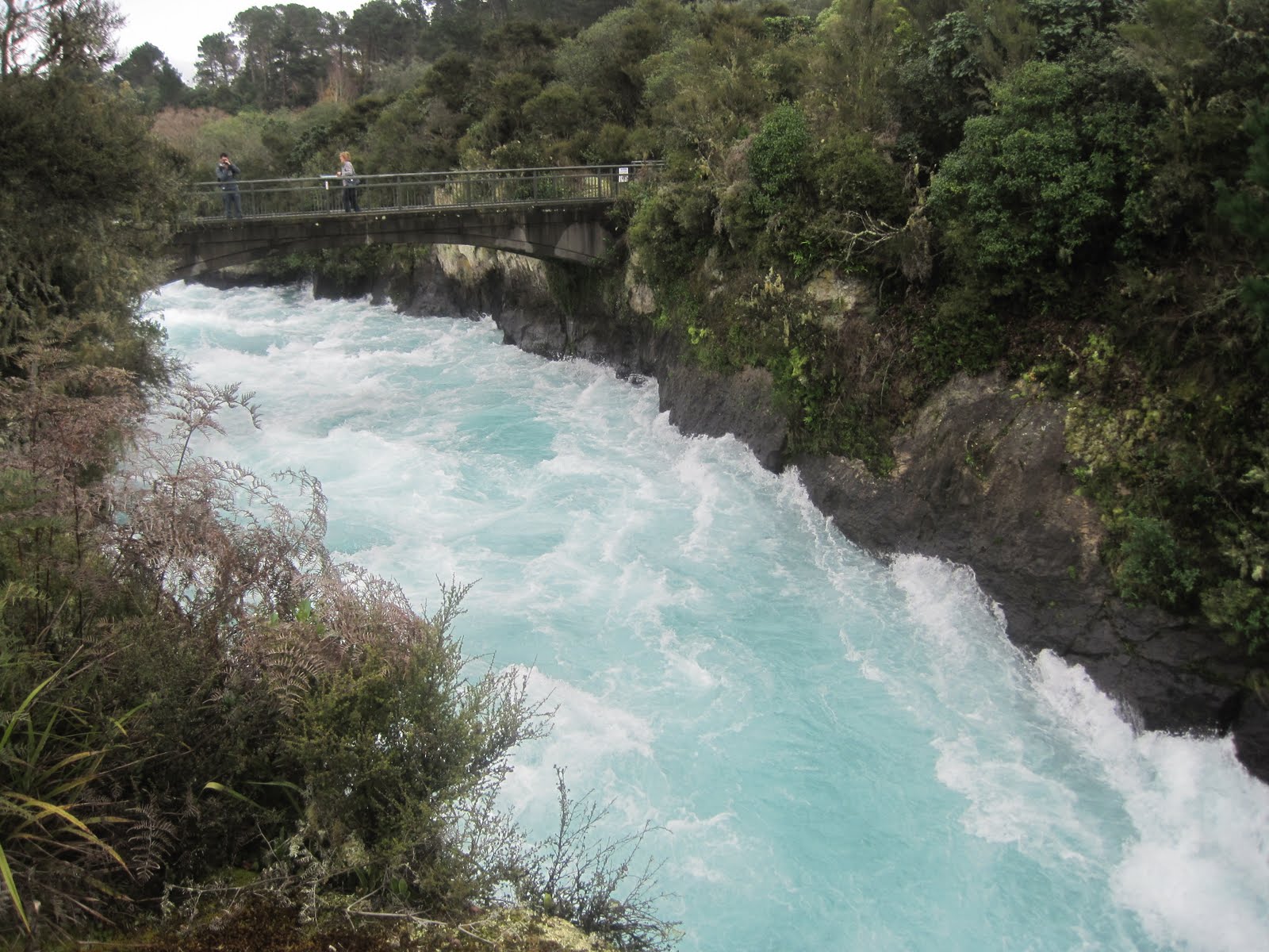 New Zealand: Taupo and Rotorua