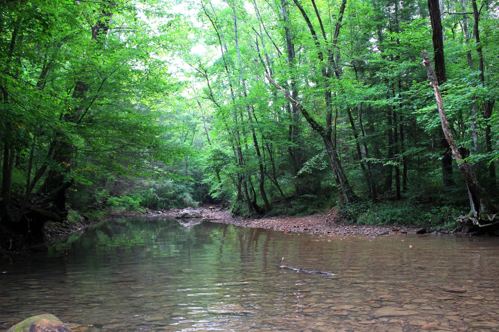 Cumberland Gal: Gobey in August