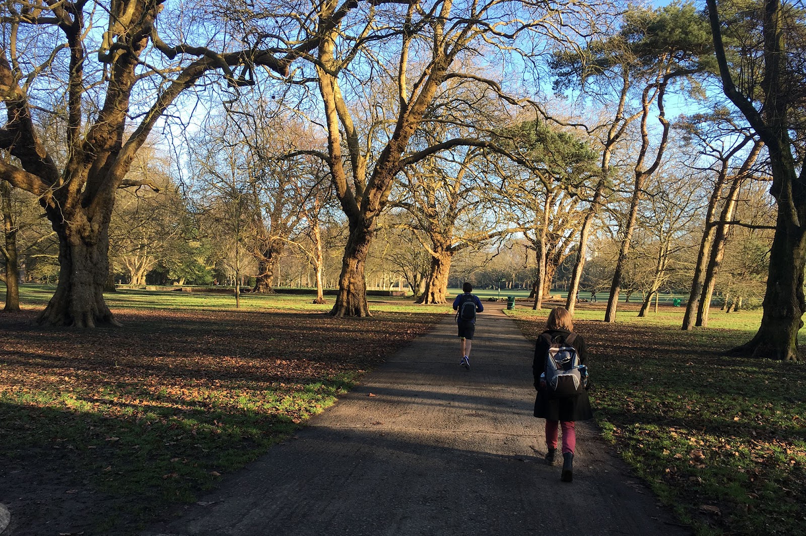 Running Routes: Cardiff Taff Trail Running Route