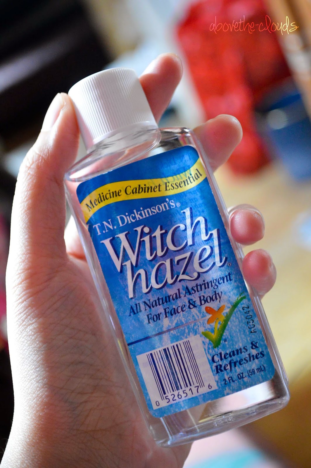 Above the Clouds: T.N. Dickinson's Witch Hazel Cleansing Astringent Review