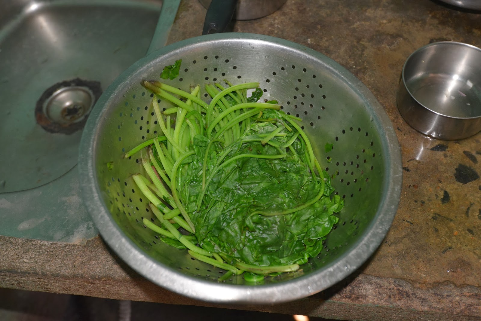 Our indian Mixer Grinder (sil batta the traditional stone)