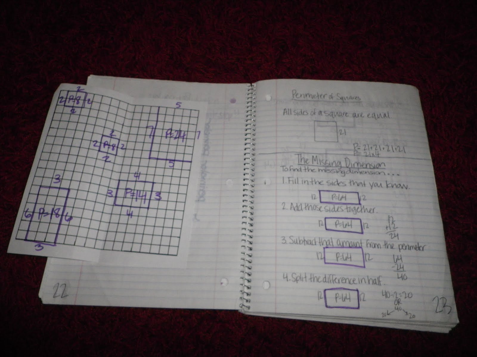 Tales of Frogs and Cupcakes: Math Notebooks