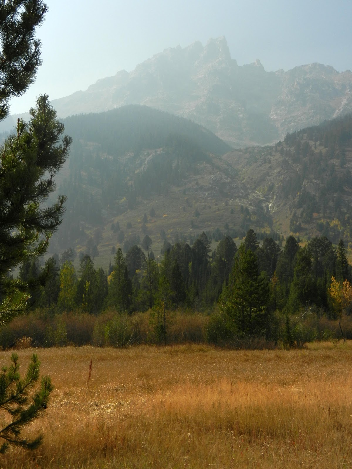Cat Patches: Moose Ponds Loop Trail