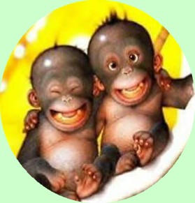 QCVÊ/QCLÊ: É possível morrer de rir?