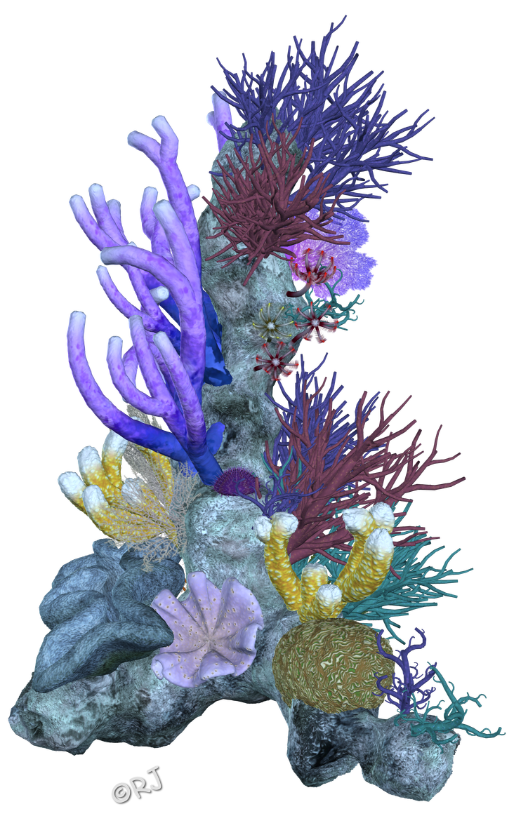 RJs Bits Bobs Props & Pieces: Coral Reefs