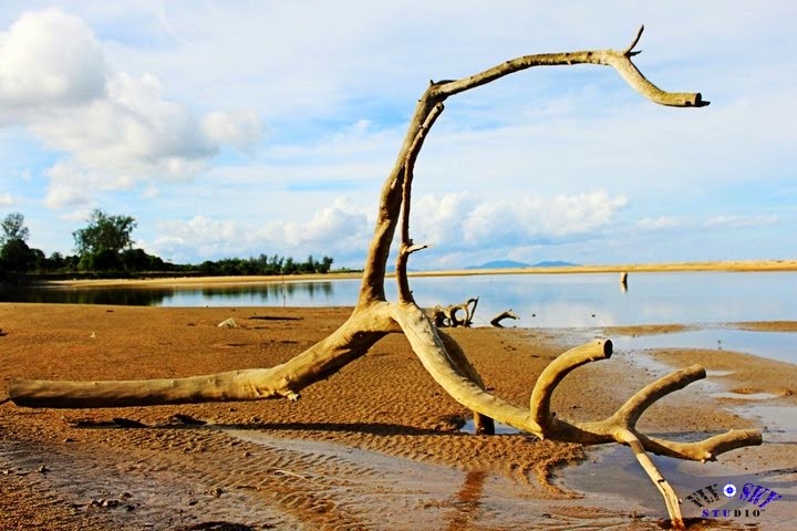 DARI SINI BERMULA CERITA...: KOLEKSI GAMBAR : PANTAI CHEROK PALOH, PAHANG