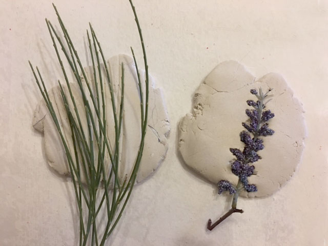 Creative Paperclay® air dry modeling material: Simplicity of Nature in Clay