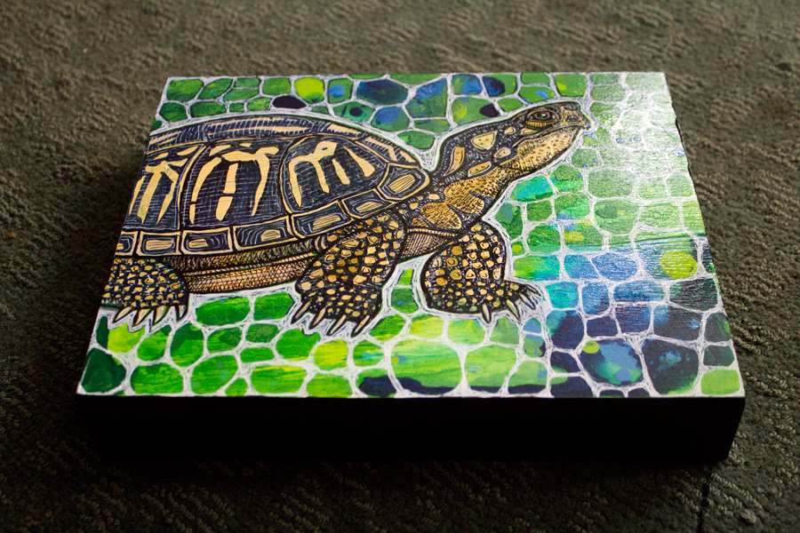 Latest Artwork: Eastern Box Turtle
