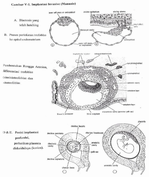 ilmu tak terbatas: struktur