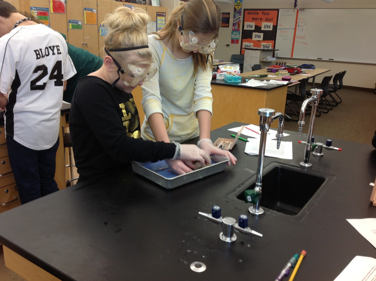 Middle School Science Geek - Mr. King: Frog Dissection