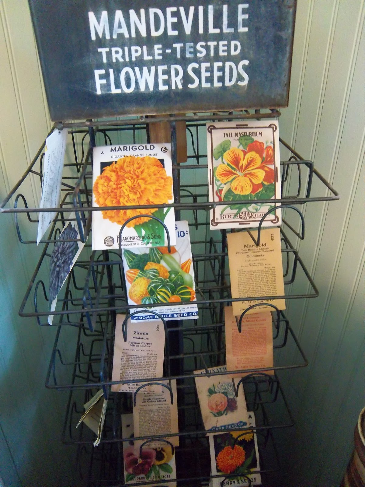 A Sentimental Life: Vintage Seed Display