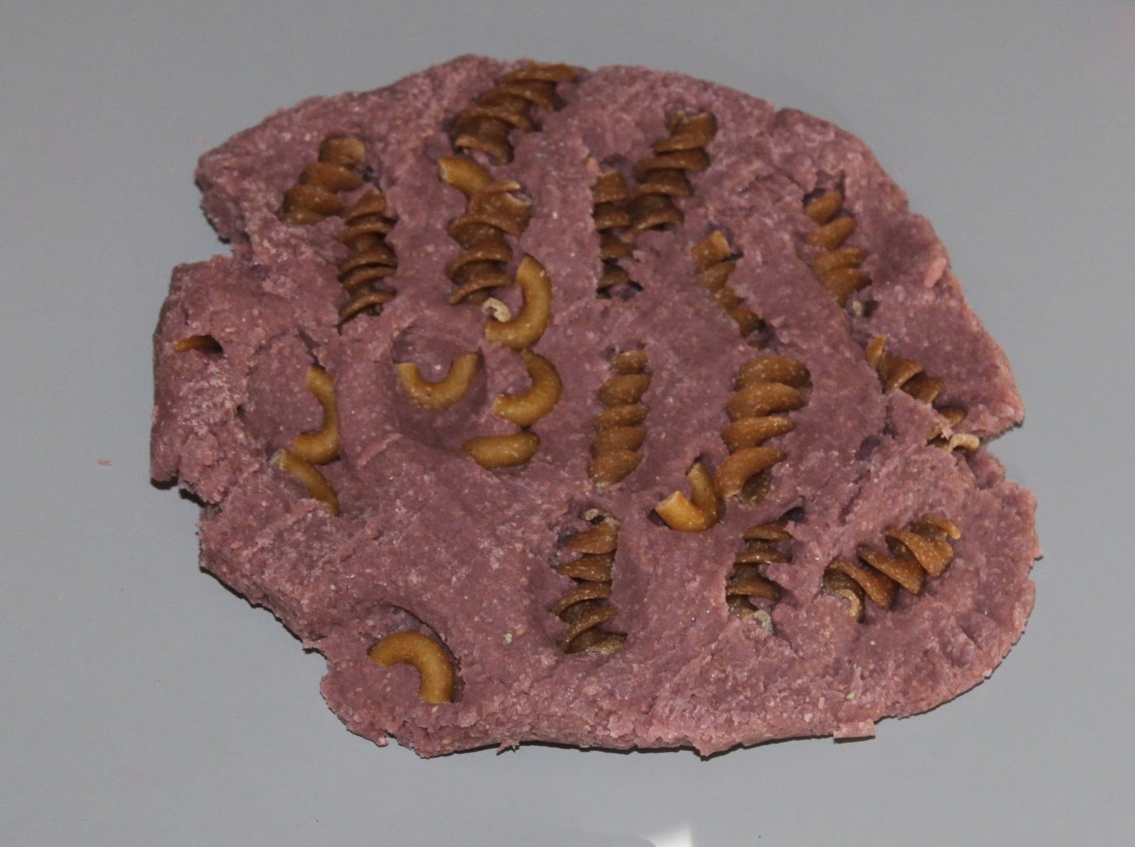 Seedlings Nursery School: Play Dough Pasta Bugs