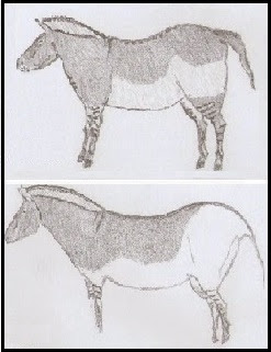 TIERRA SYLVANA: EL ROMPECABEZAS DEL ZEBRO (II): ASPECTO Y HÁBITAT.