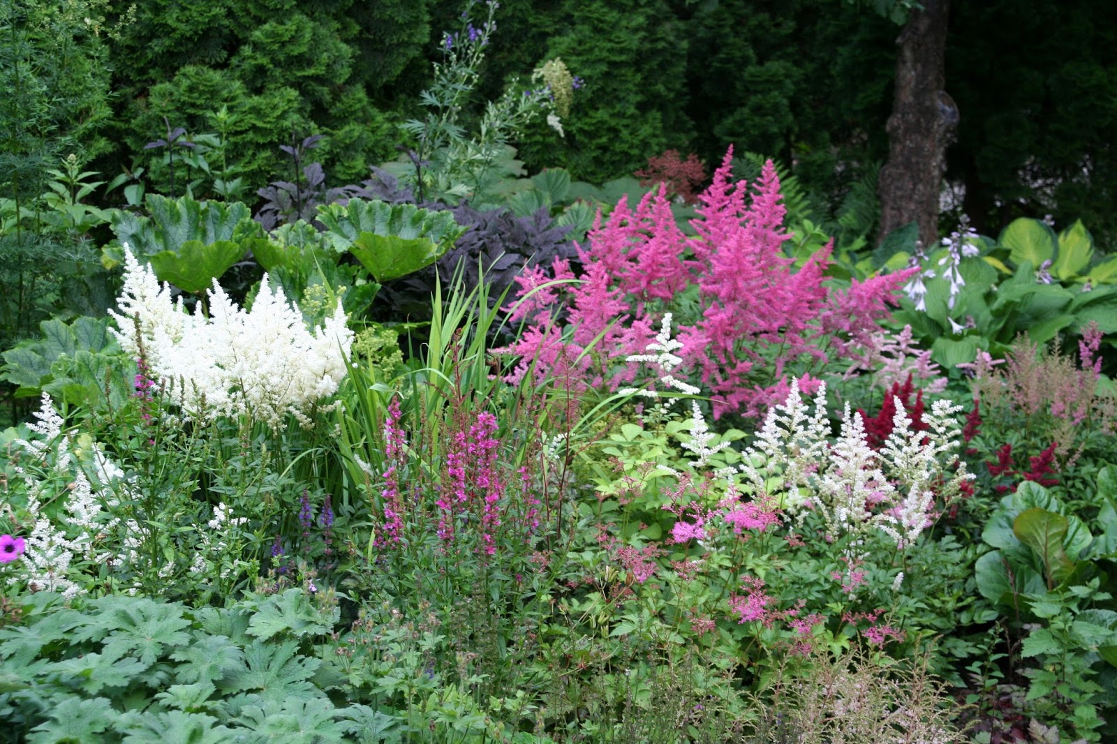 Evely Ustavi aiajutud