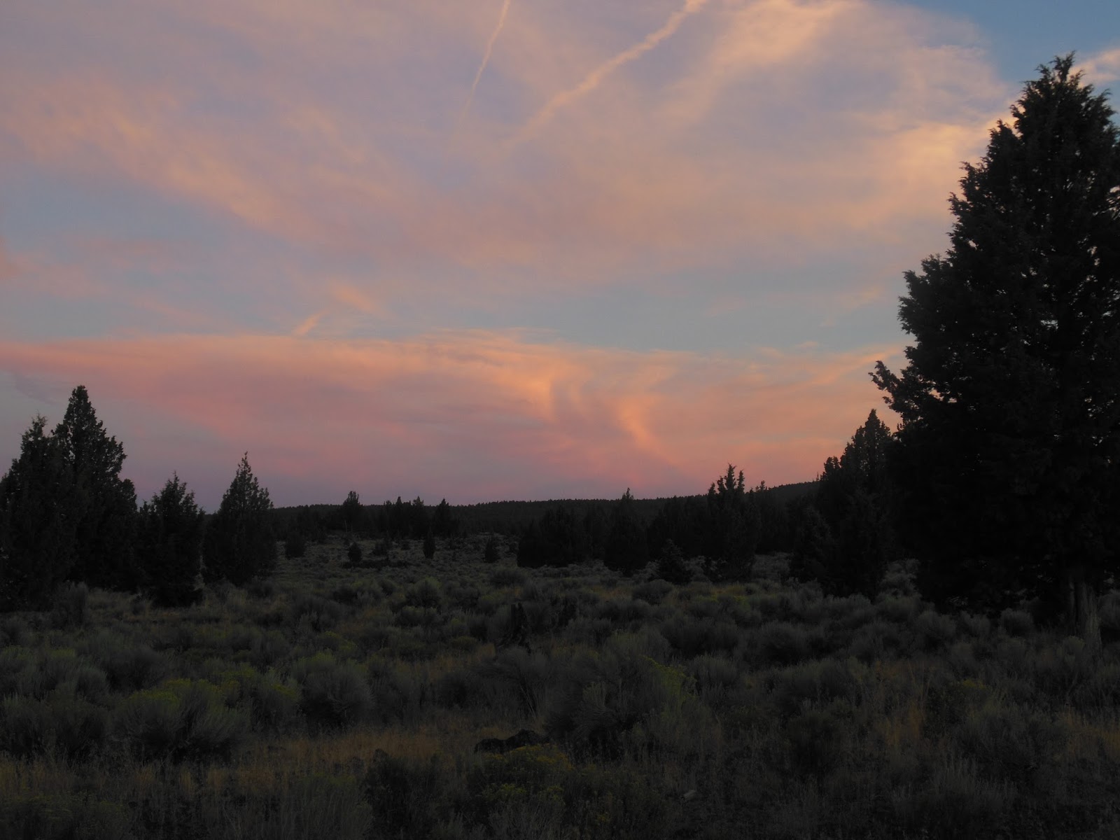 Practical Ecology: A Field NoteBlog: Derrick Caves, Lake County, OR ...