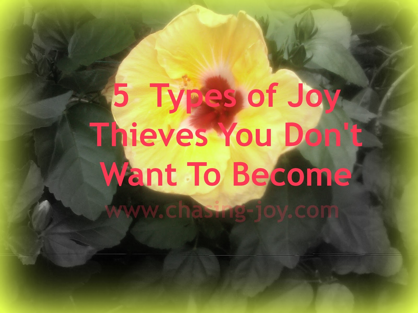5 Types of Joy Thieves You Don't Want To Become - Chasing Joy