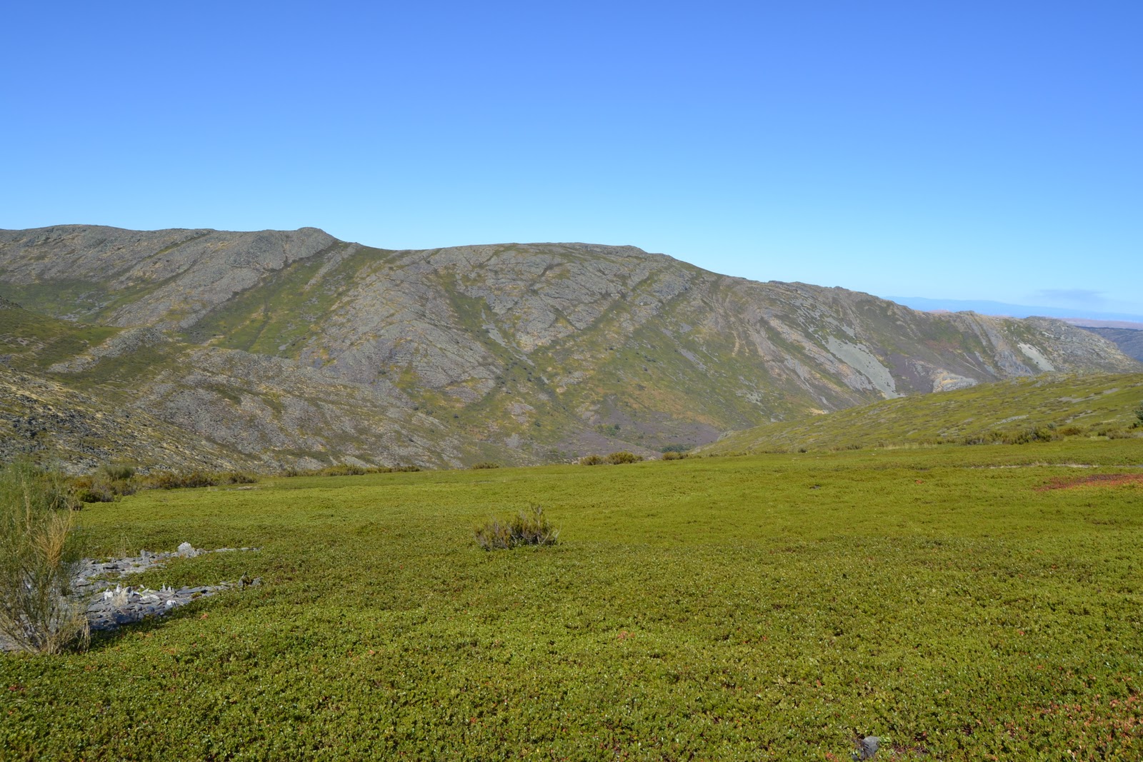 Ocejón: Subida al pico Ocejón (Gu)