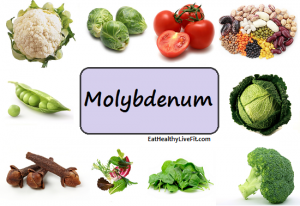 WaterOz Solutions: MOLYBDENUM