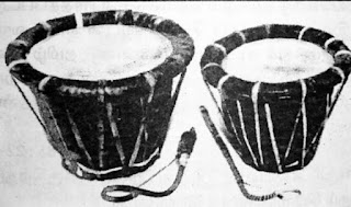 Lalitha - Nandini's column : Kodukotti