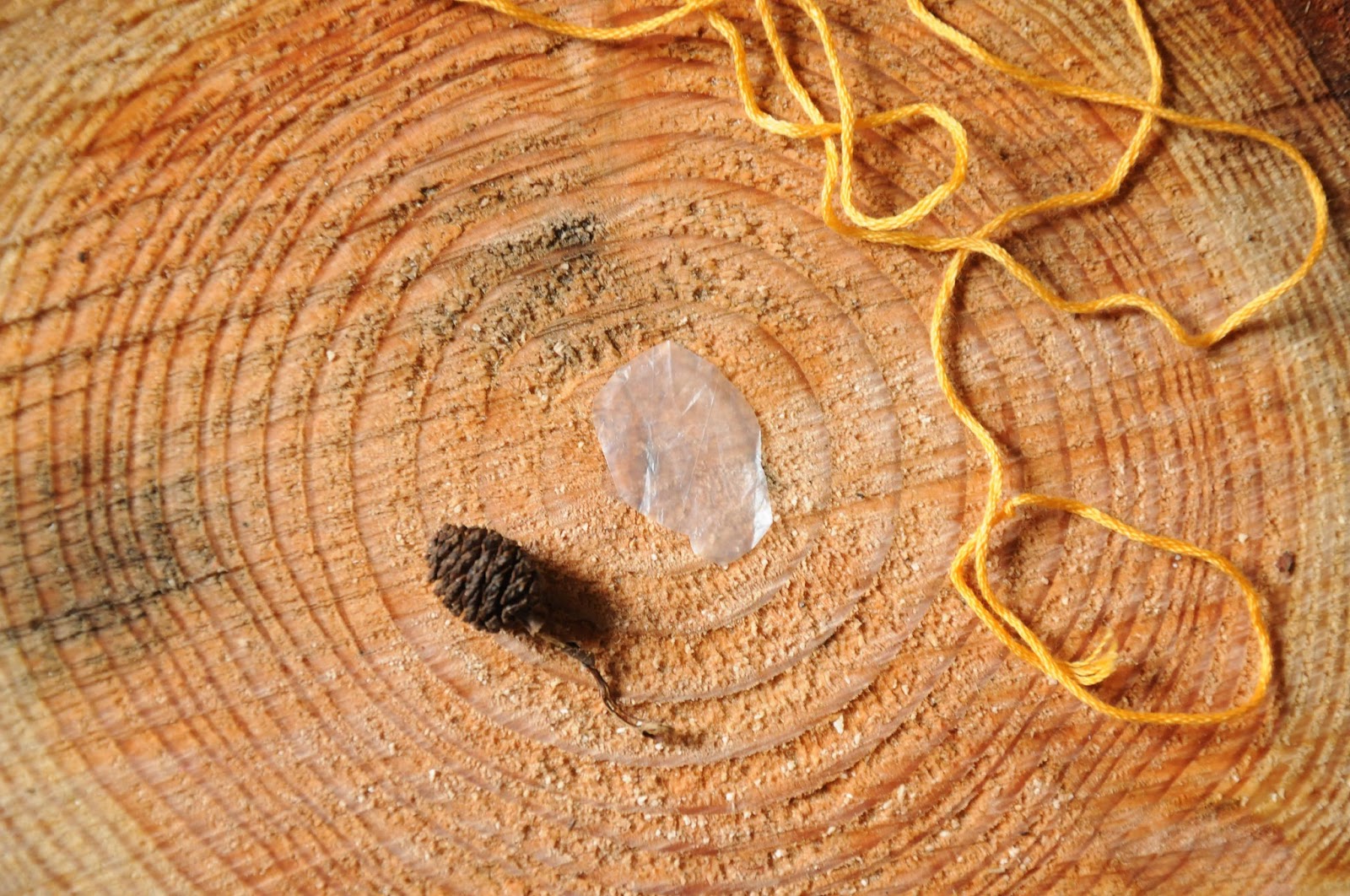 Kindling: Sweet little alder bee craft