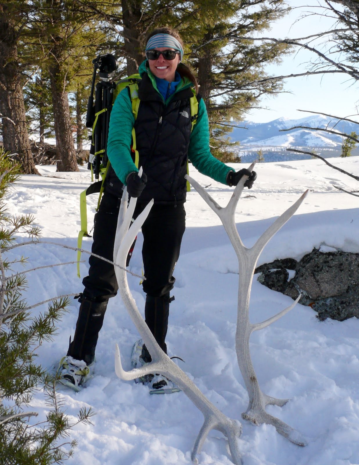 Coltman Lab: Christi Bubac