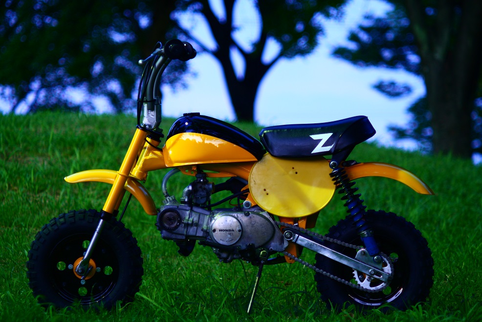 STANDARD CUSTOM PAINT: z50r