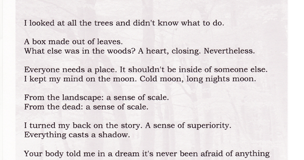 Ponyboy Press - zine maker, design lover, dedicated homebody: Poem In ...