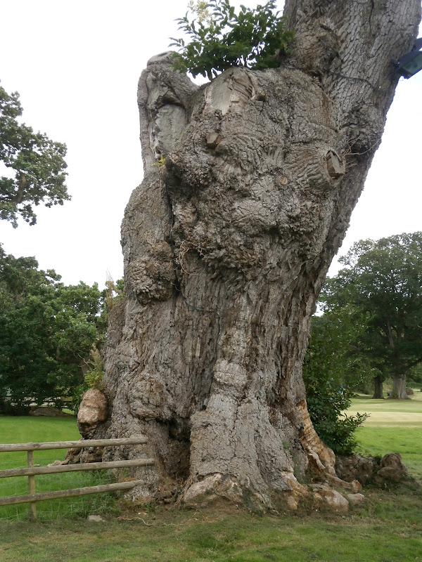 Corfu Blues and Global Views: Castle Cary and Lodge Hill (Somerset ...