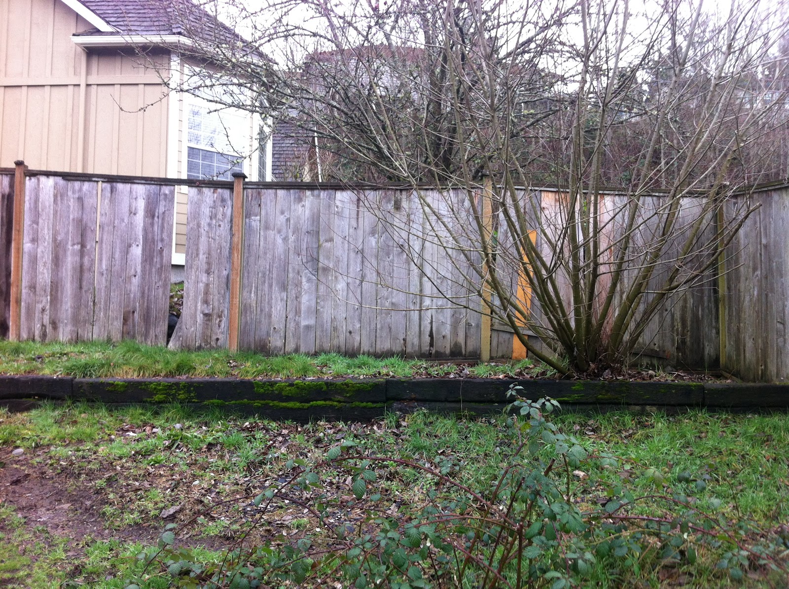 construction and remodeling