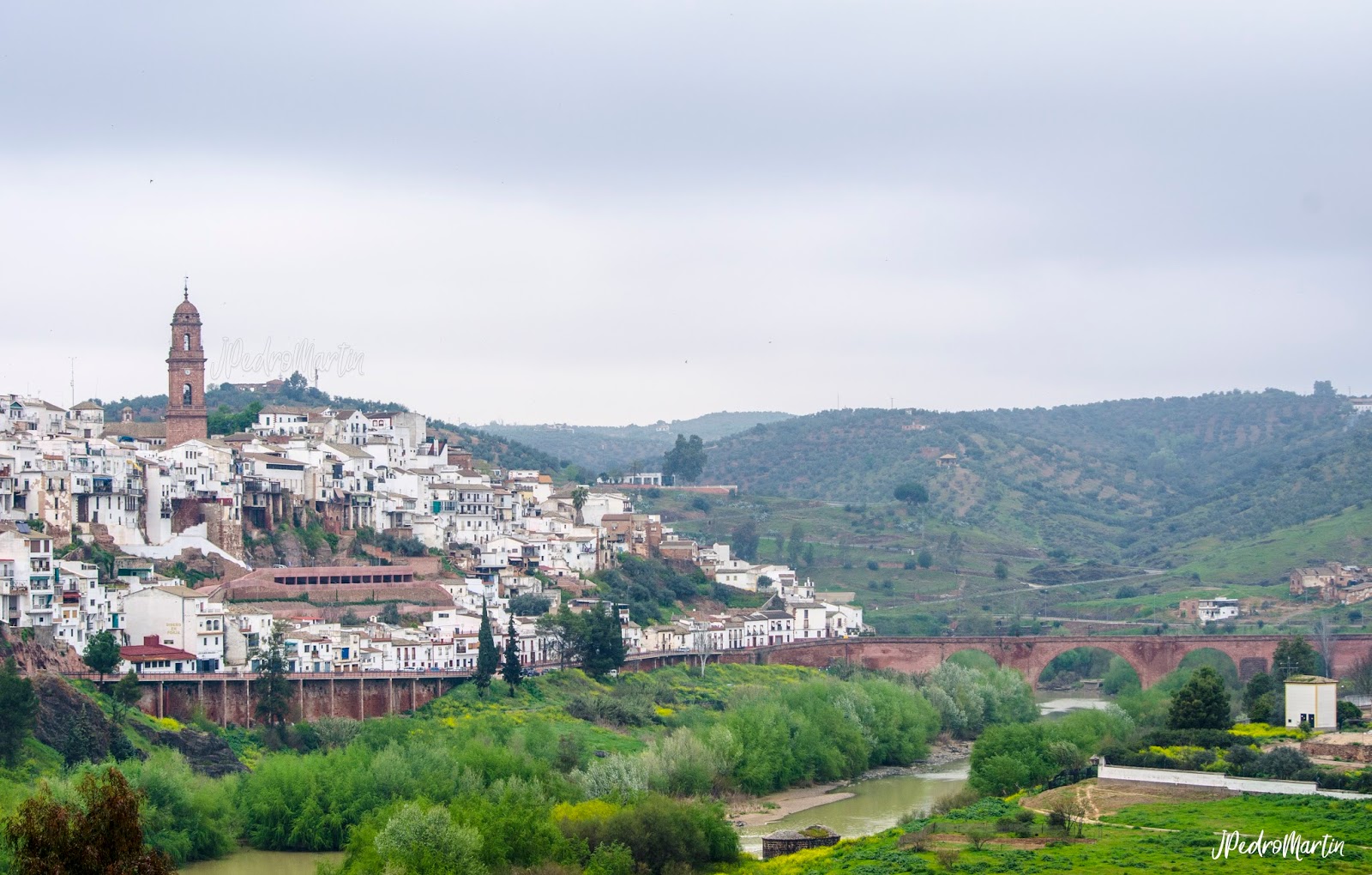 MONTORO - J PEDRO MARTÍN