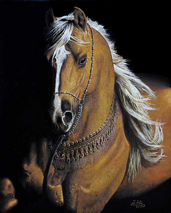 Impressioni Artistiche : ~ Ivan Pili