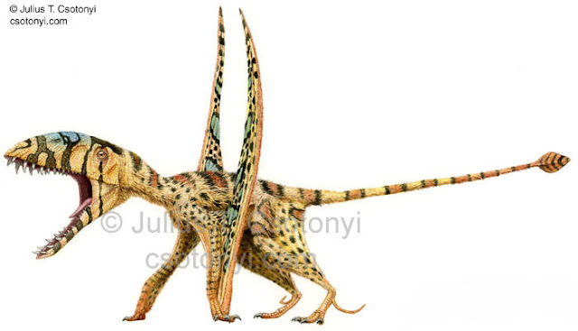 LOS DINOSAURIOS DE MANU: DIMORFODONTE