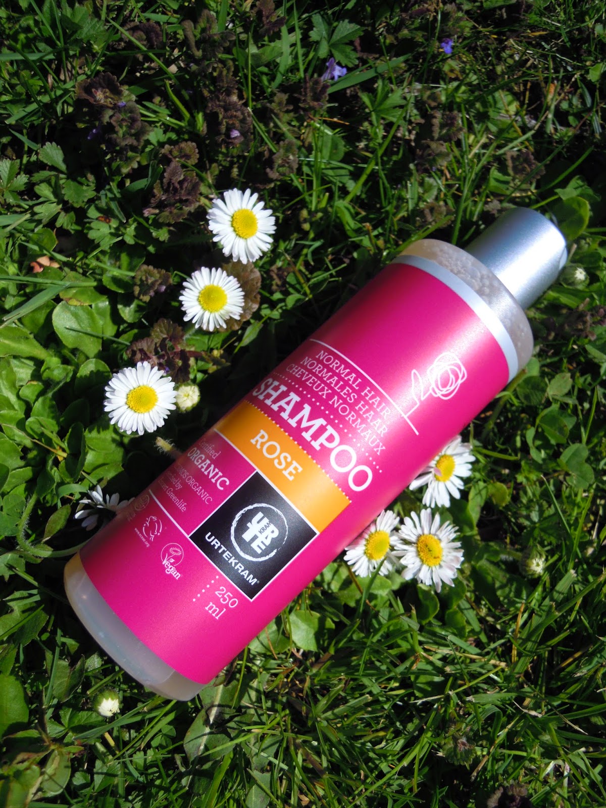 Glance: Review - Urtekram Rose Shampoo