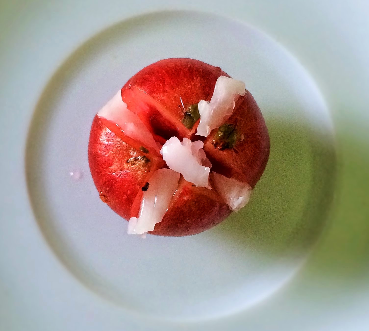 Lovelicious Kitchen: Lovi Fruit / Loika / Lovikka