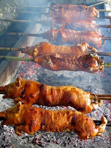 Food Fiesta Philippines: Your Ultimate Guide to Ordering Lechon in ...