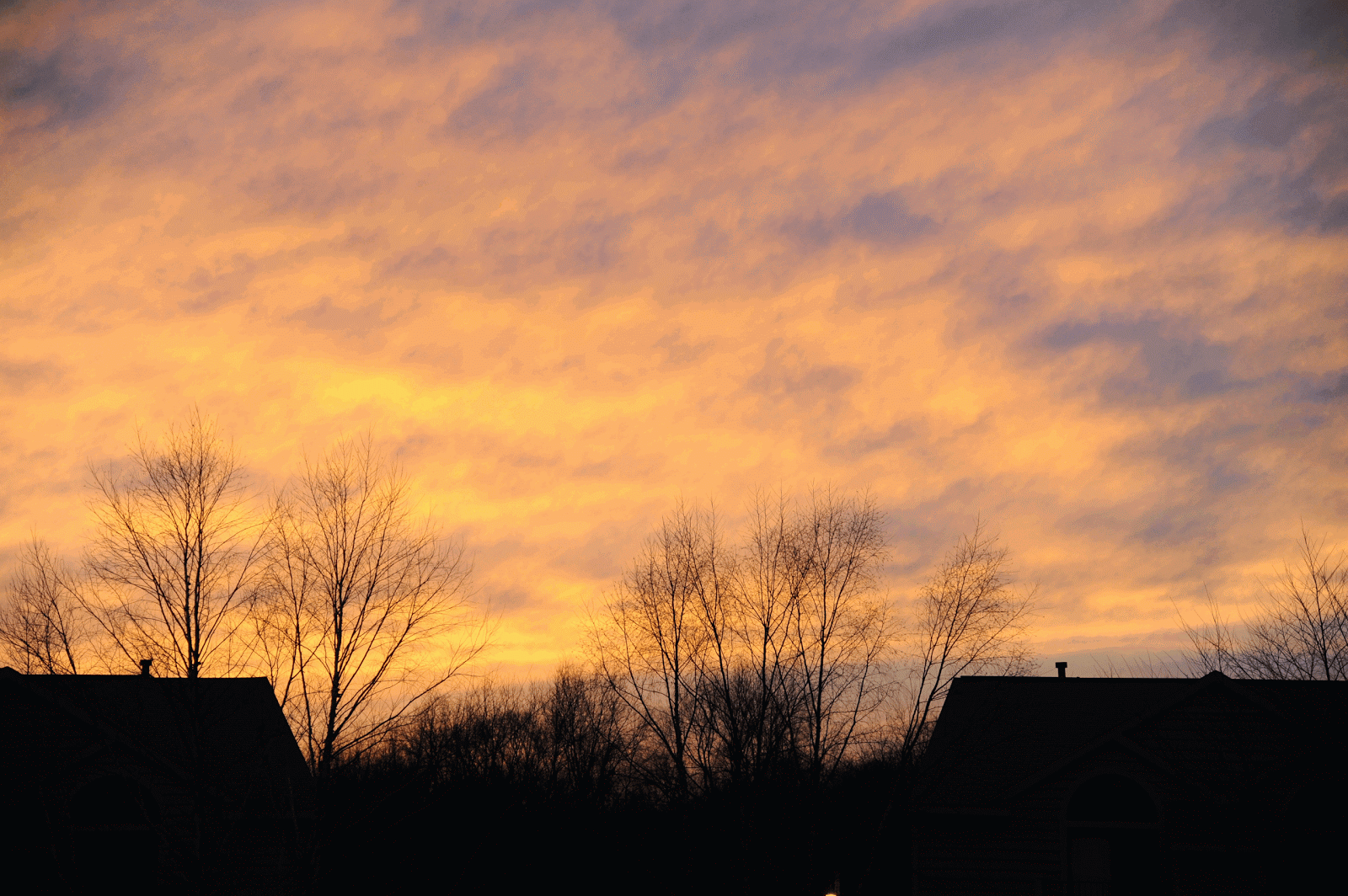 Nikon D5100 sample images