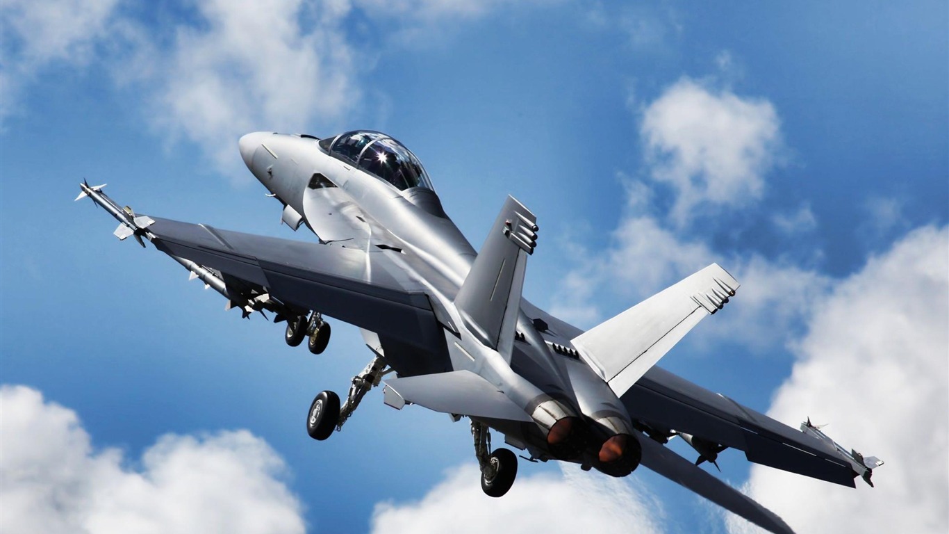 Yam Group Gann Research 1024: F18 ....get ready for Dog flight