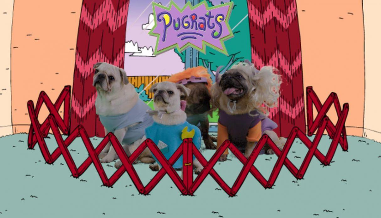 NickALive!: PUGRATS | Rugrats | National Dog Day | NickSplat